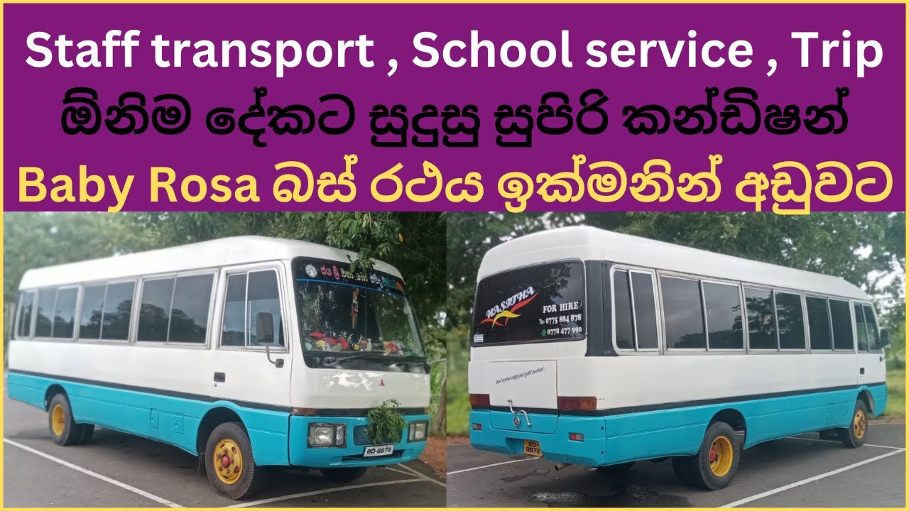 Bus for sale | Baby Rosa bus for sale | bus for sale in sri lanka ...