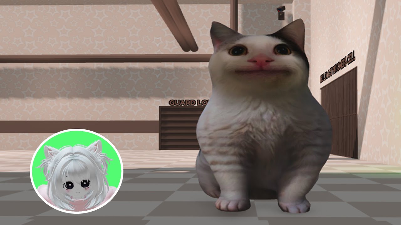 BELUGA CAT'S PRISON RUN! (OBBY) | Roblox Gameplay Walkthrough - YouTube