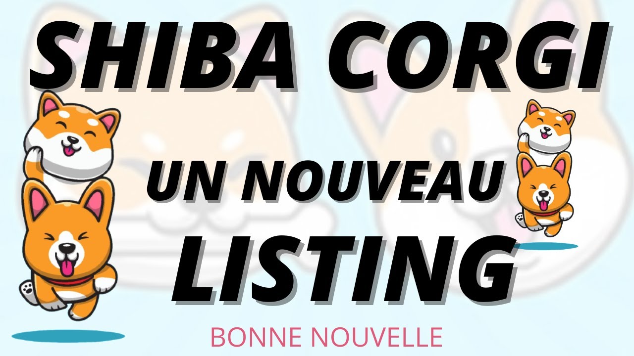 SHIBA corgi token UN NOUVEAU LISTING - YouTube