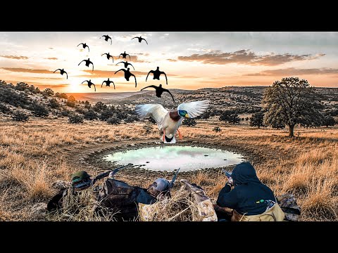 TINY HIDDEN OKLAHOMA FARM POND DUCK HUNT!