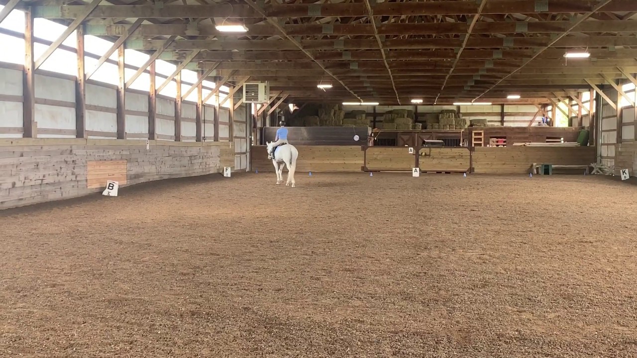 COVID-19 Online Horse Show, May 2020: Caroline Witt - USDF Intro A ...