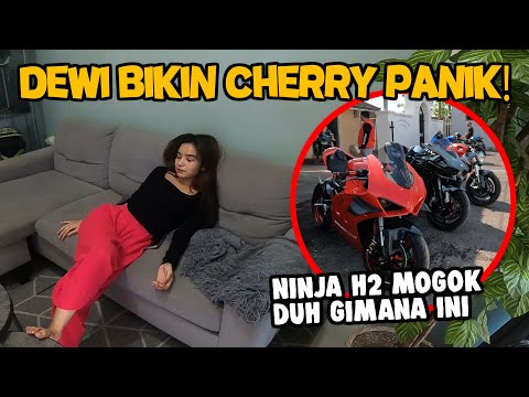 DEWI FAINTED CHERRY PANIC, WHILE RIDING, GO HOME IMMEDIATELY‼️ KAWASAKI H2 BROKEN DOWN