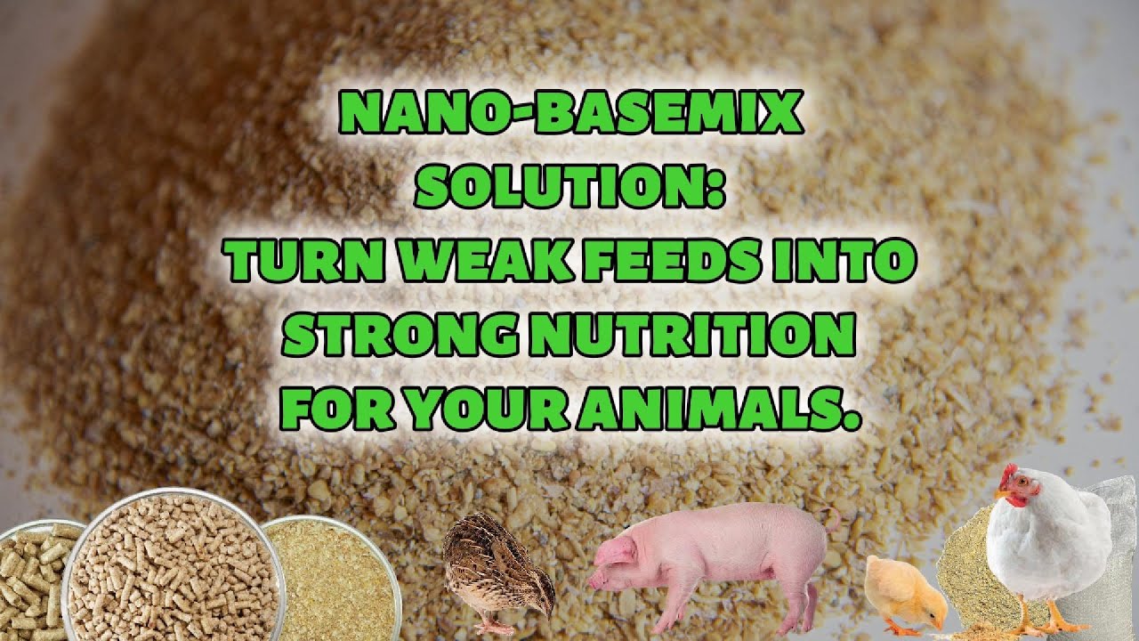 Nano-Basemix Solution: Turn Weak Feeds into Strong Nutrition for Your ...