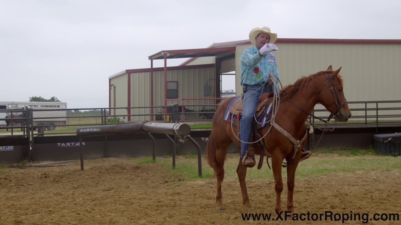 Handling Cattle with David Key - YouTube