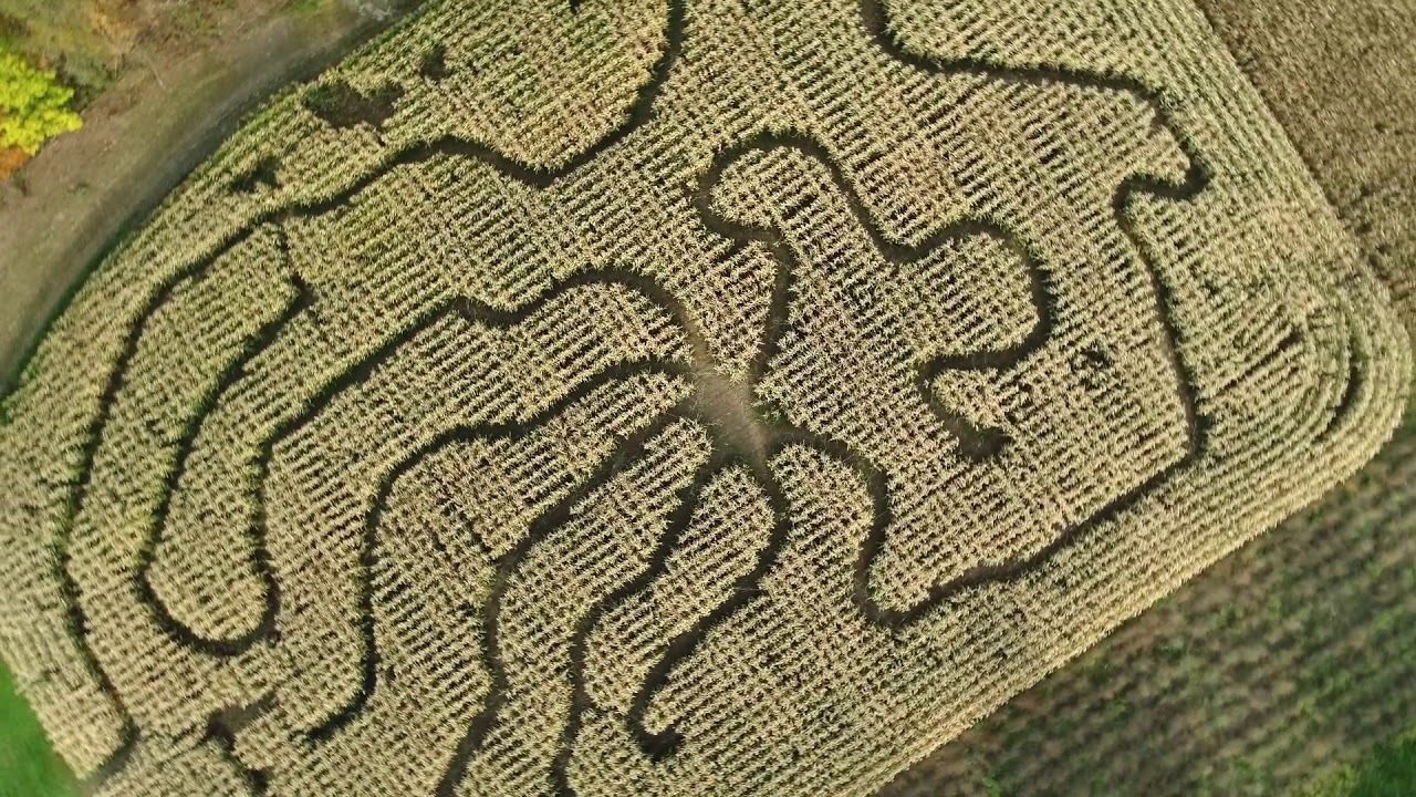 Saunderskill Corn Maze 2018 - YouTube