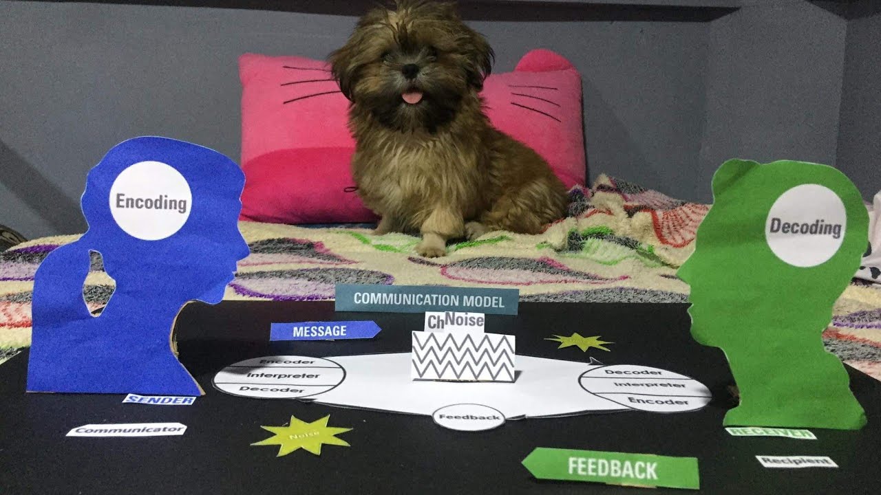 3D COMMUNICATION MODEL | Ashley Cortez - YouTube