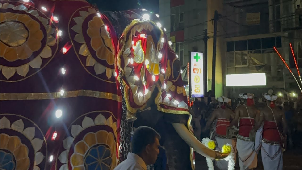 Kadawatha Perahera #elephant #srilanka - YouTube