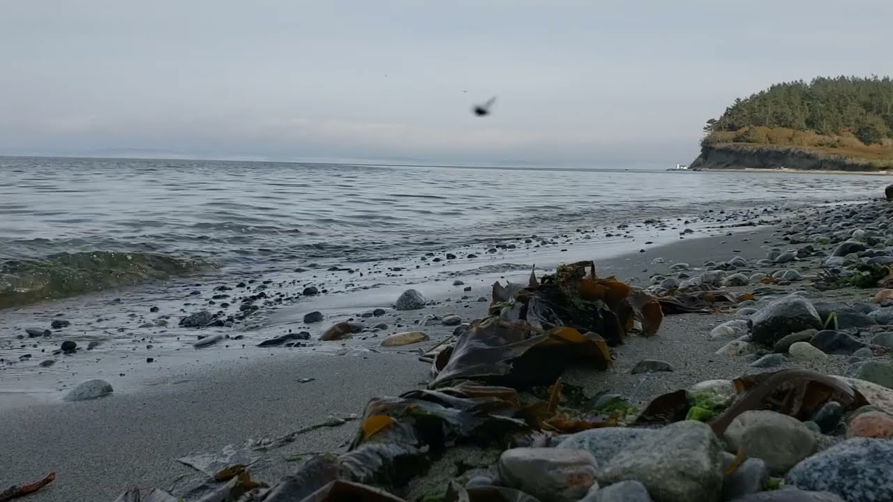 North Beach Port Townsend WA ‎Tuesday, ‎October ‎4 ‎2022 ‏‎5 53 56 PM ...