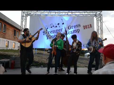 Jeff Scroggins & Colorado Blue Night