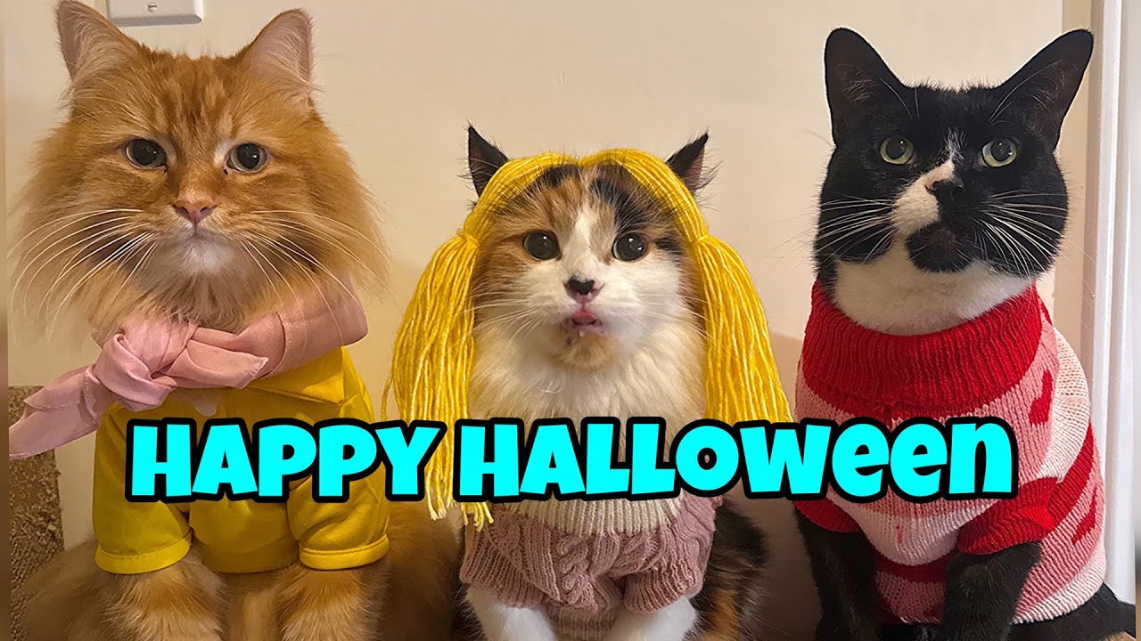 Happy Halloween - Live Stream - YouTube
