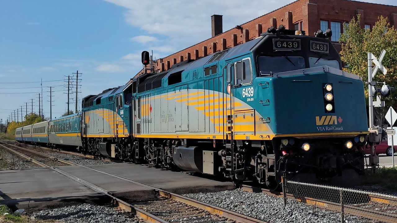 (43 Minutes Late!) (Double Header!) VIA 84 - 6439 & 6446 Pulling Into ...