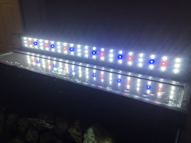 Aqueon Led Light Strip Review | Shelly Lighting