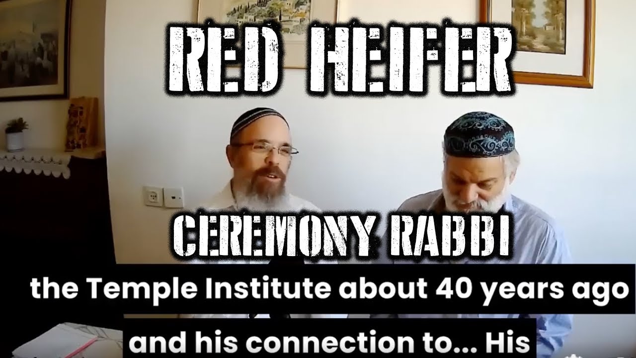 Interview With Red Heifer Ceremony Rabbi - YouTube