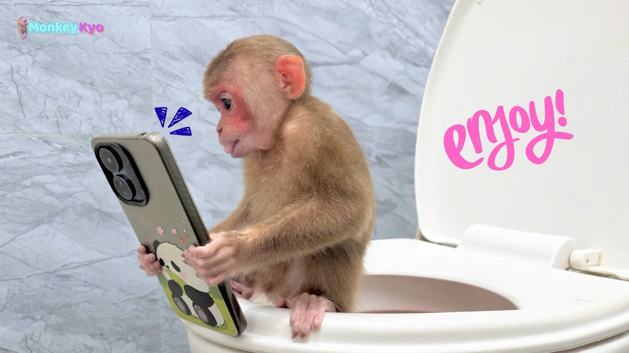 Monkey Kyo does THIS... and everyone can’t stop laughing! 😂 - YouTube