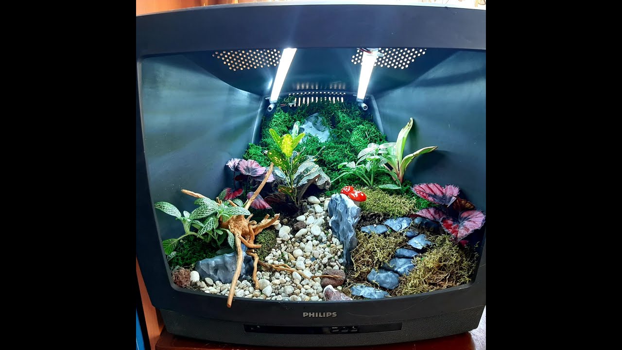 I turned an old TV into a wonderful terrarium. Technology, nature and ...