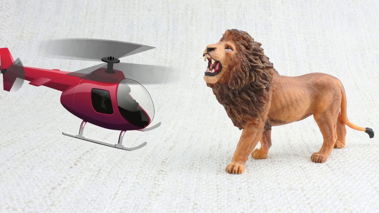 LION FACTS! | Fun & Educational | For Kids - YouTube