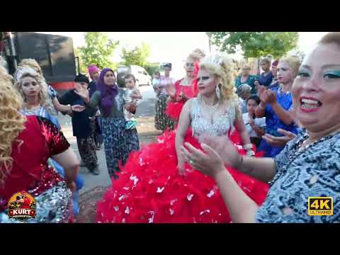 KURTDEDED54 HENDEK TURANLAR KURT PRODÜKSİYON