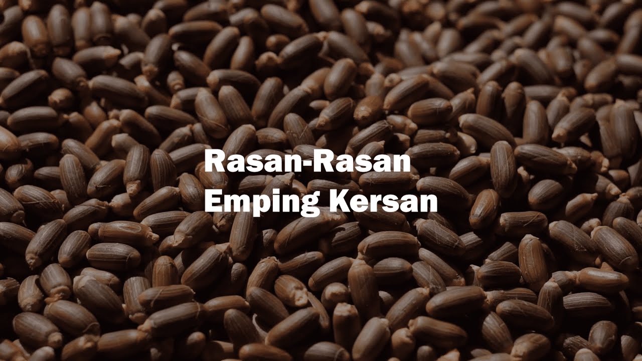 Rasan-rasan Emping Kersan - YouTube