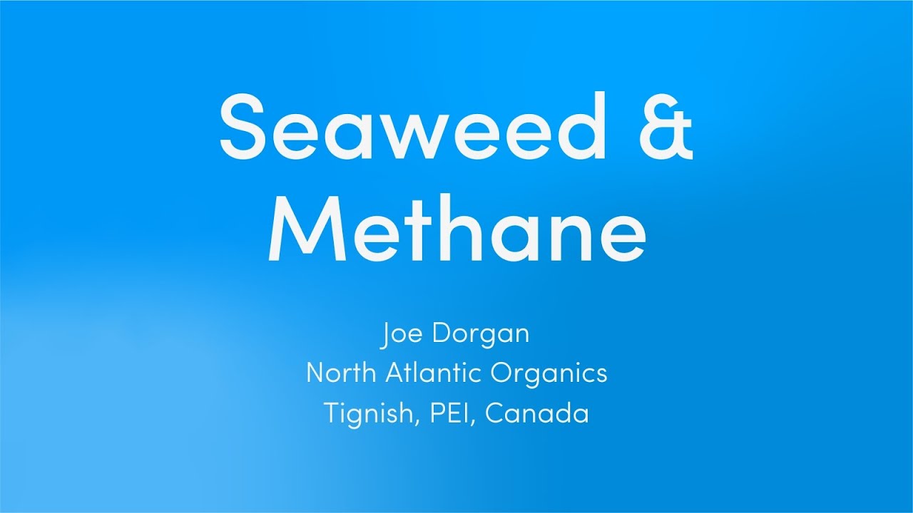 Seaweed & Methane with Joe Dorgan from North Atlantic Organics | Milk ...