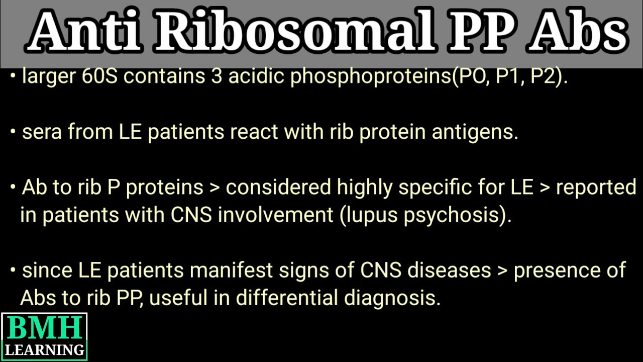Anti Ribosomal P Protein Antibodies | - YouTube