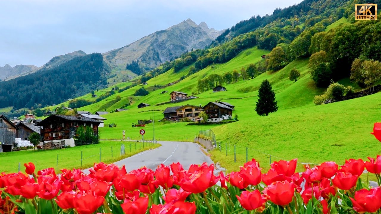 Enchanting Tour through Switzerland's Amazing Scenery | Switzerland 🇨🇭 ...
