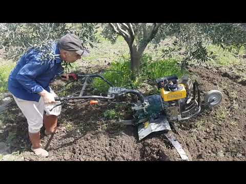 Ot toplamayan çapa motoru bıçakları ile ağaç dibi çapalama