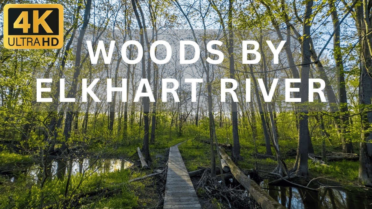 4K Walk Along Elkhart River: Tranquil Woods, Gentle River Sounds ...