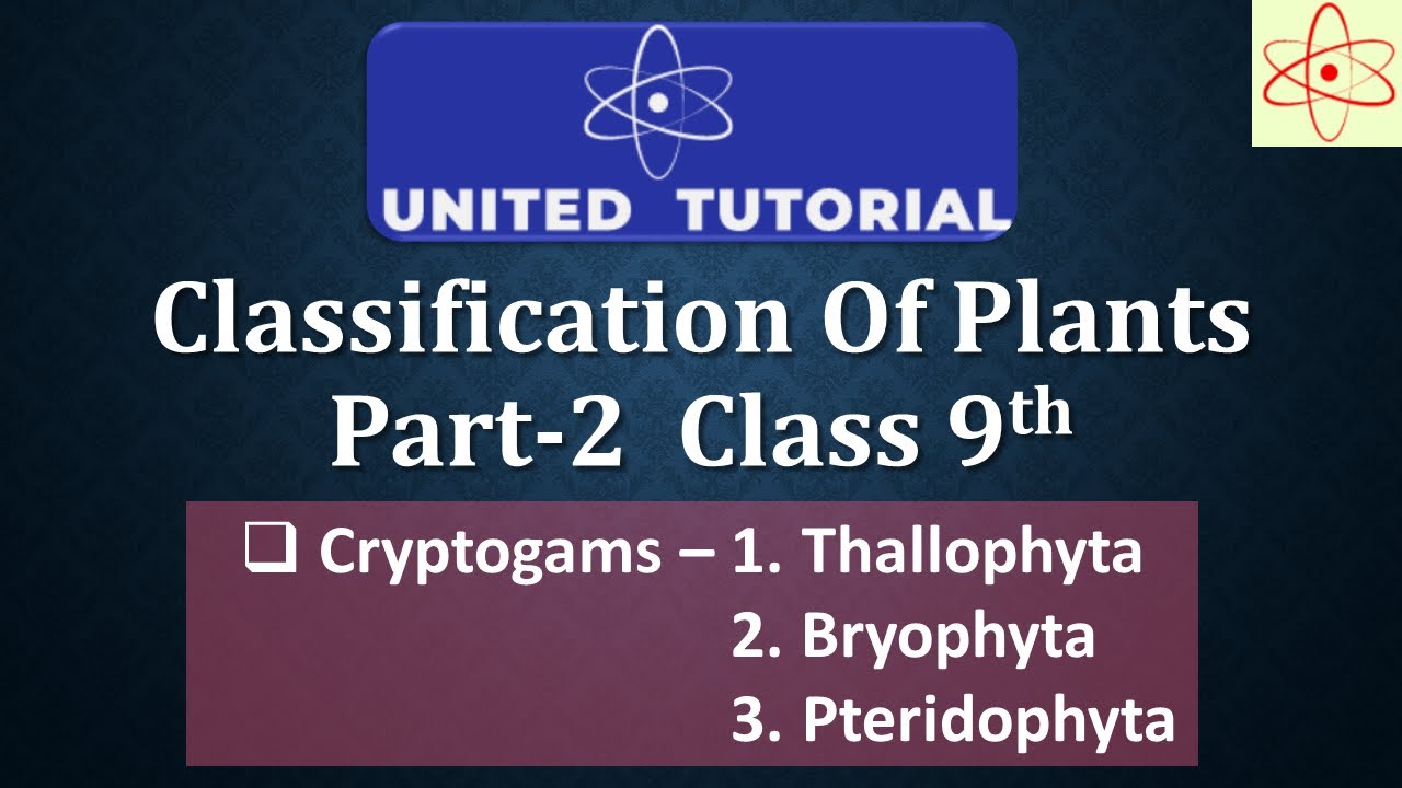 Classification Of Plants Part-2 | Class 9th | Cryptogams - Thallophyta ...