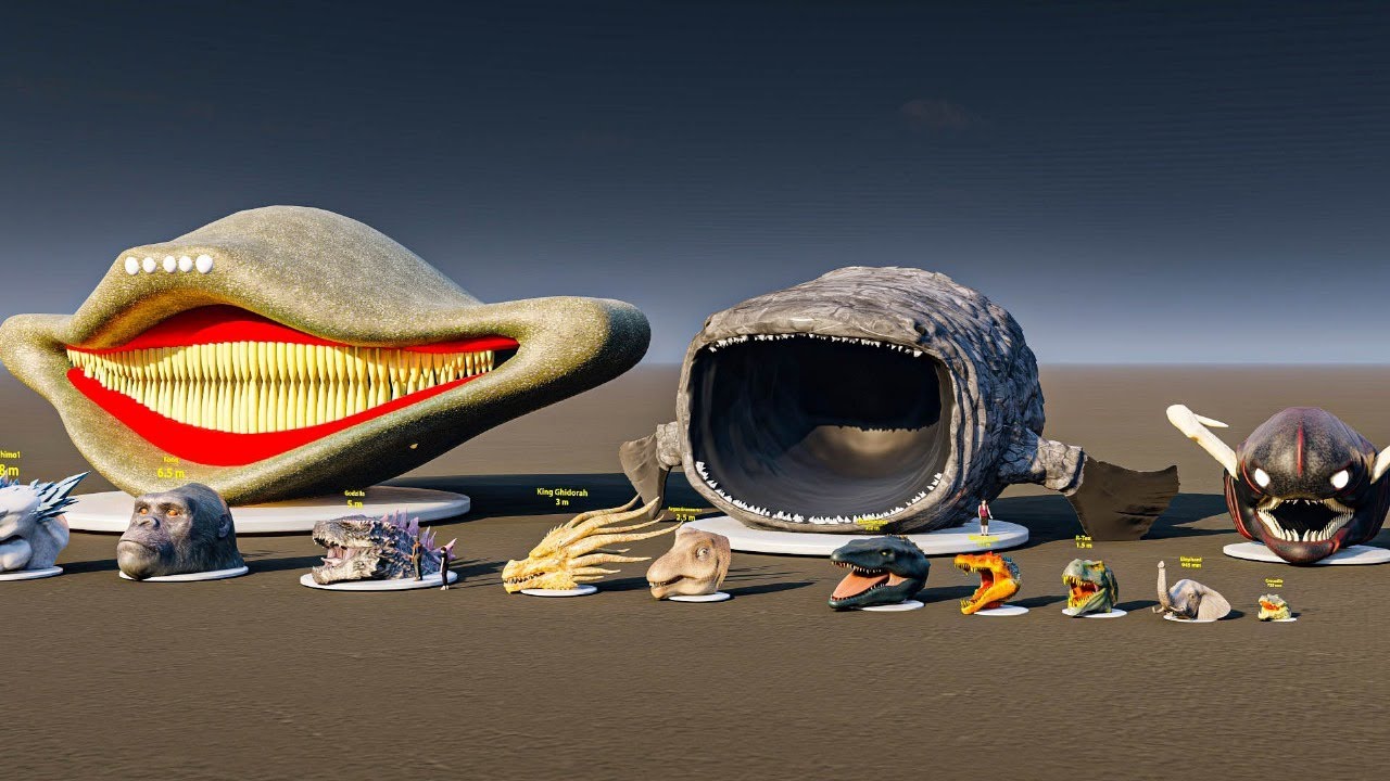 Head size comparison - YouTube