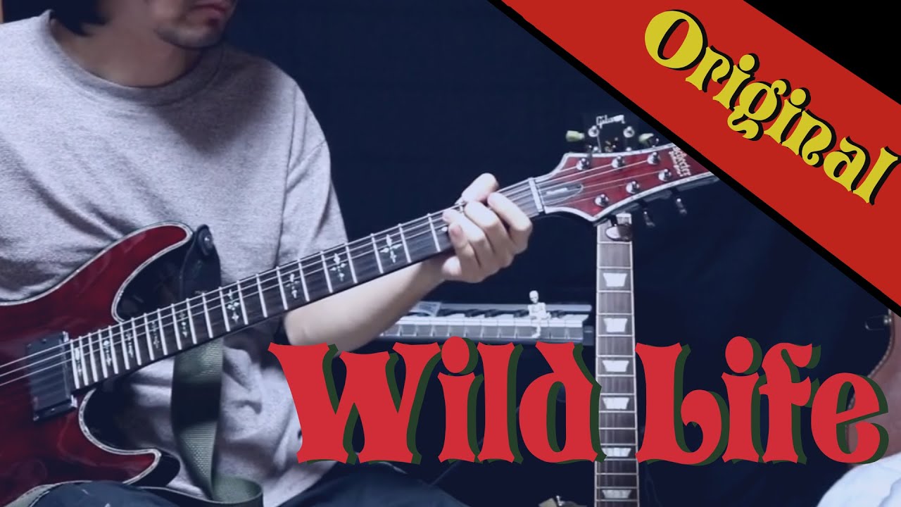 【Original Music】Wild Life (Animal Song) - YouTube
