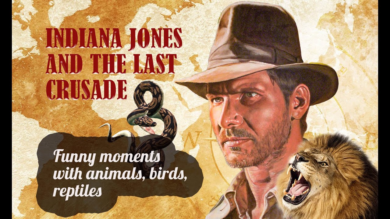 Indiana Jones and the Last Crusade. Funny moments with animals, birds ...