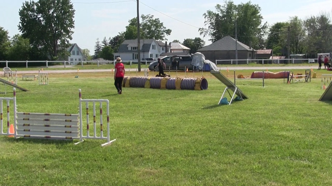 Keys - CKC Excellent Standard - June 2017 - YouTube