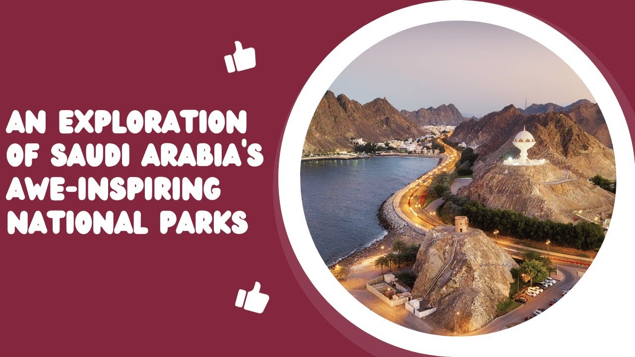 An Exploration of Saudi Arabia's Awe-inspiring National Parks ...