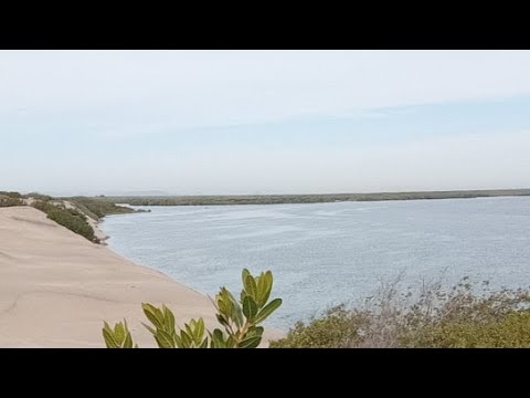 ISLA MACAPULE PLAYAS DE SINALOA #guasave #playas - YouTube