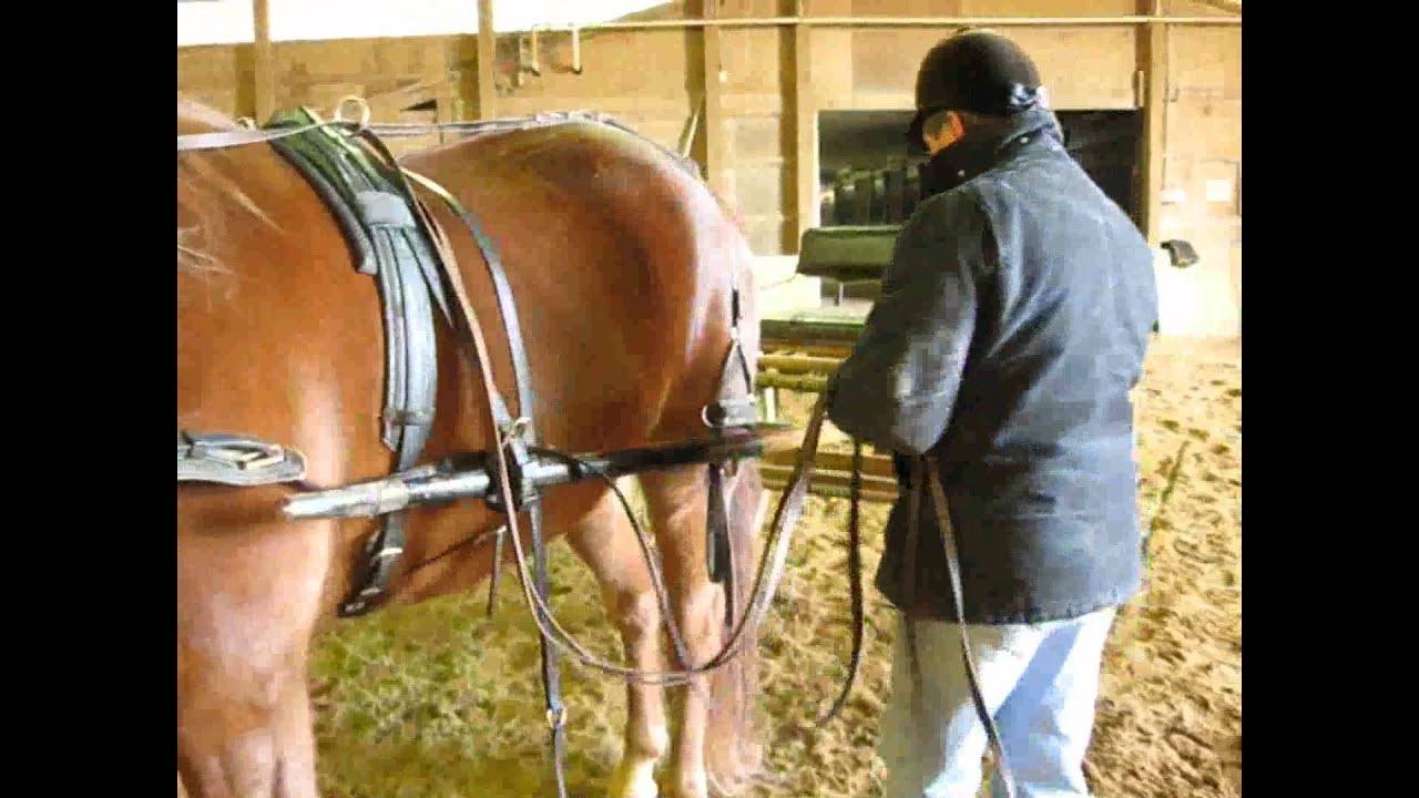 Driving Tips, Hitching Up - YouTube