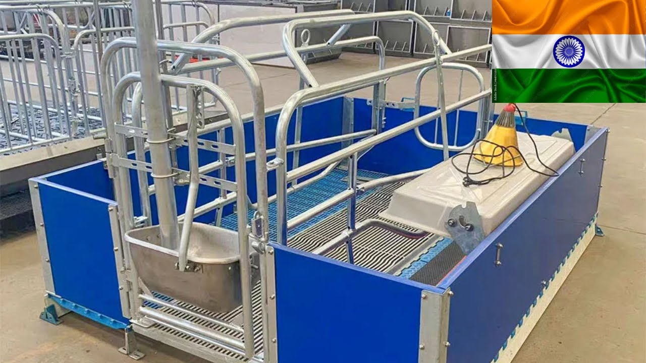 Pig Farrowing Crate - European Standard | Pigfarmindia - YouTube