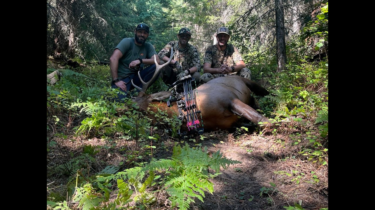 Derek gets his 1st Bull! - YouTube