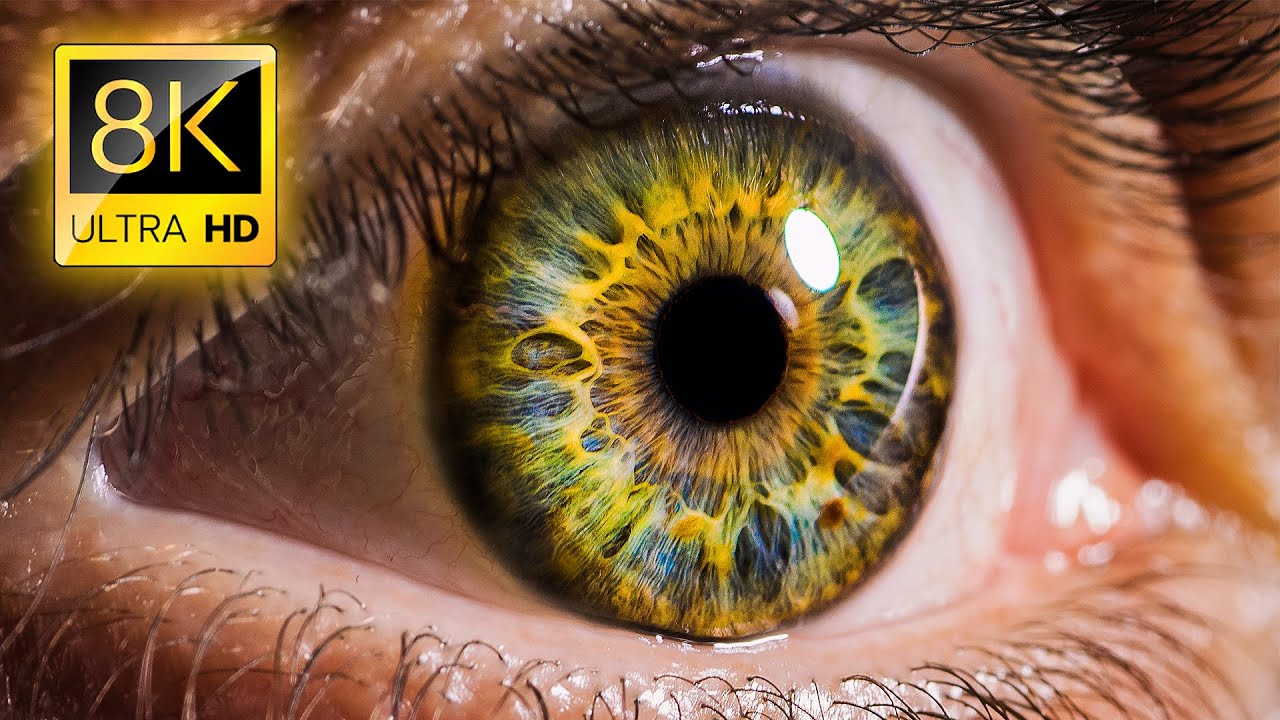 Ordinary Objects in Macro in 8K ULTRA HD / 8K TV - YouTube