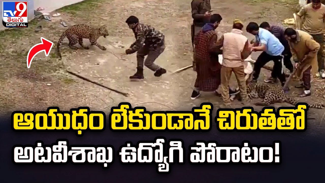 Wildlife Official Fights Off Leopard With Bare Hands In Kashmir Village ...
