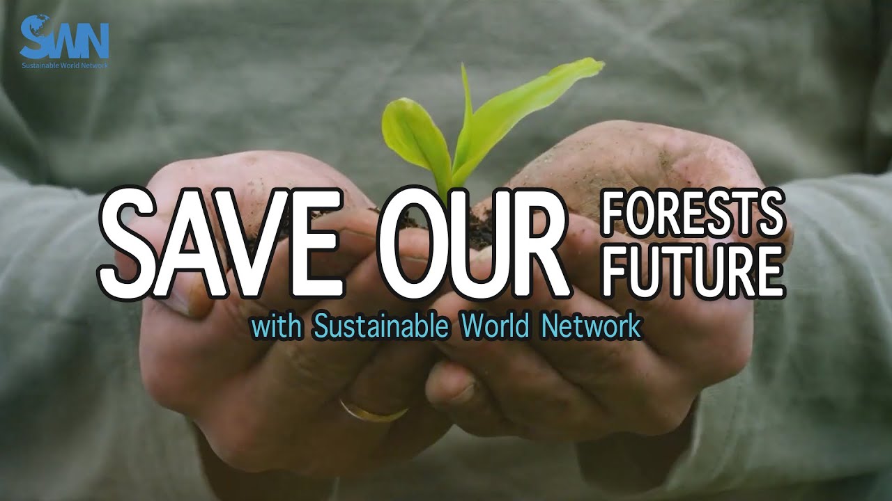 Save Our Forests To Save Our Future | Sustainable World Network - YouTube