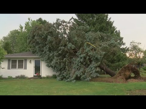 Tree falls onto home in Whitehouse - YouTube