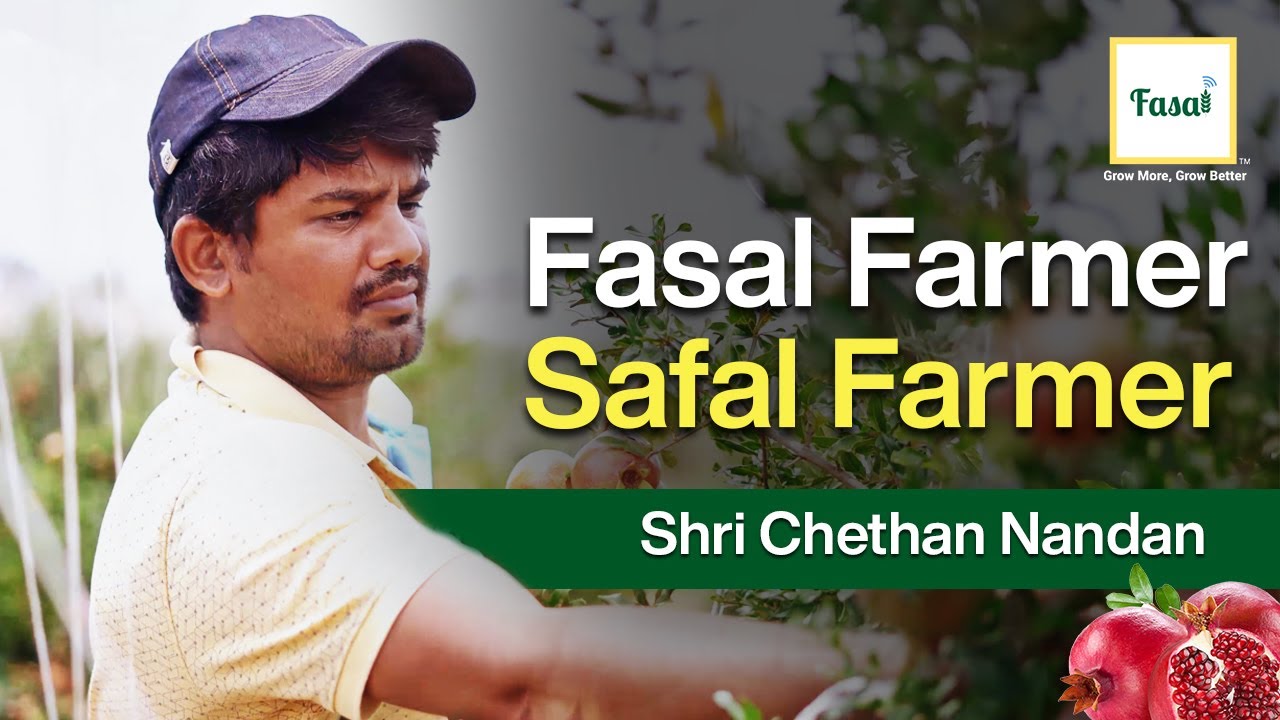 Pomegranate Precision Farming | Fasal Farmer Safal Farmer | Chethan ...