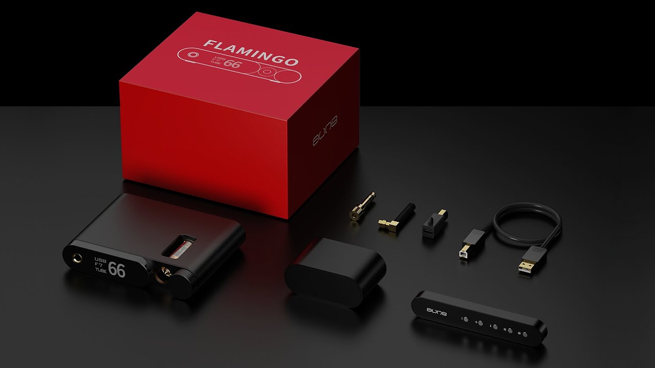 aune Flamingo-BT DAC with Headphone Amp (Bluetooth Edition) - YouTube