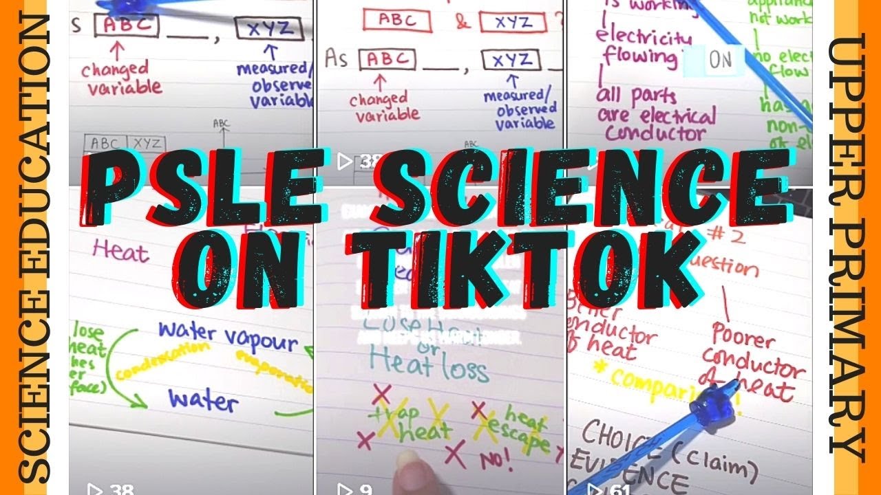 Water Cycle - PSLE Science Revision on Mdm Koo's TikTok 08 #SHORTS ...
