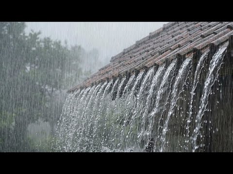 Gerçek Şiddetli Yağmur Sesleri 🌧️ Anında Uykusuzluğu Giderir ve Tüm Gece Derin Uyuyun