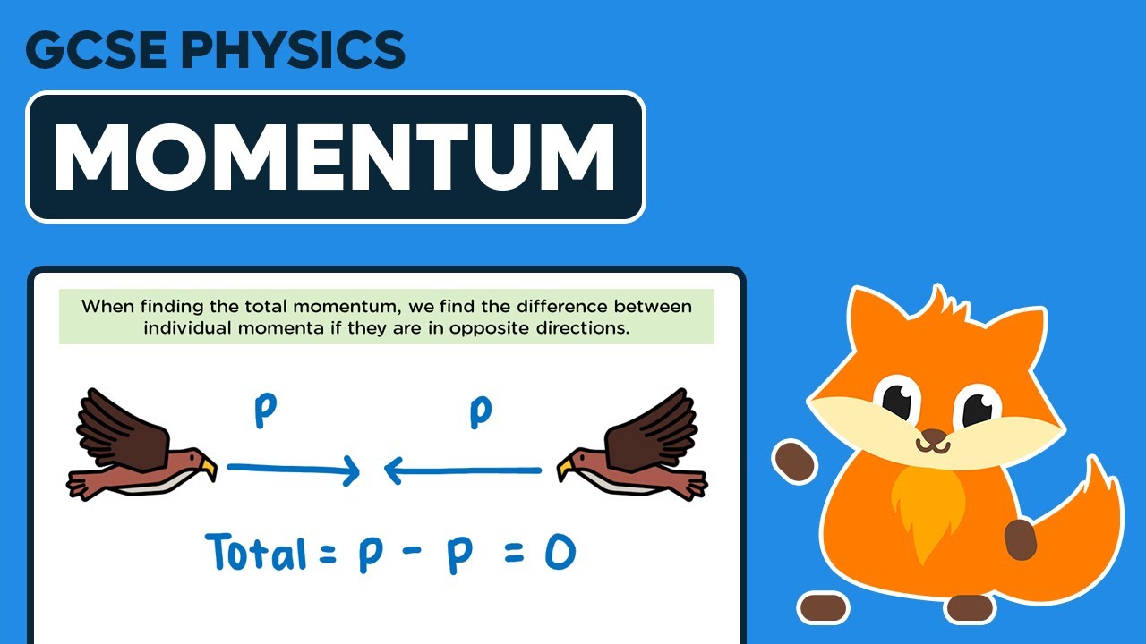 Momentum as a Vector - GCSE Physics - YouTube
