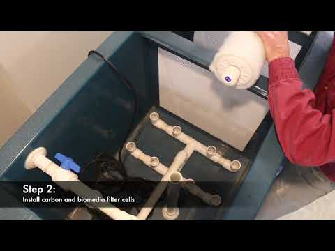 AquaLogic / Robinson Bait tank set up - YouTube
