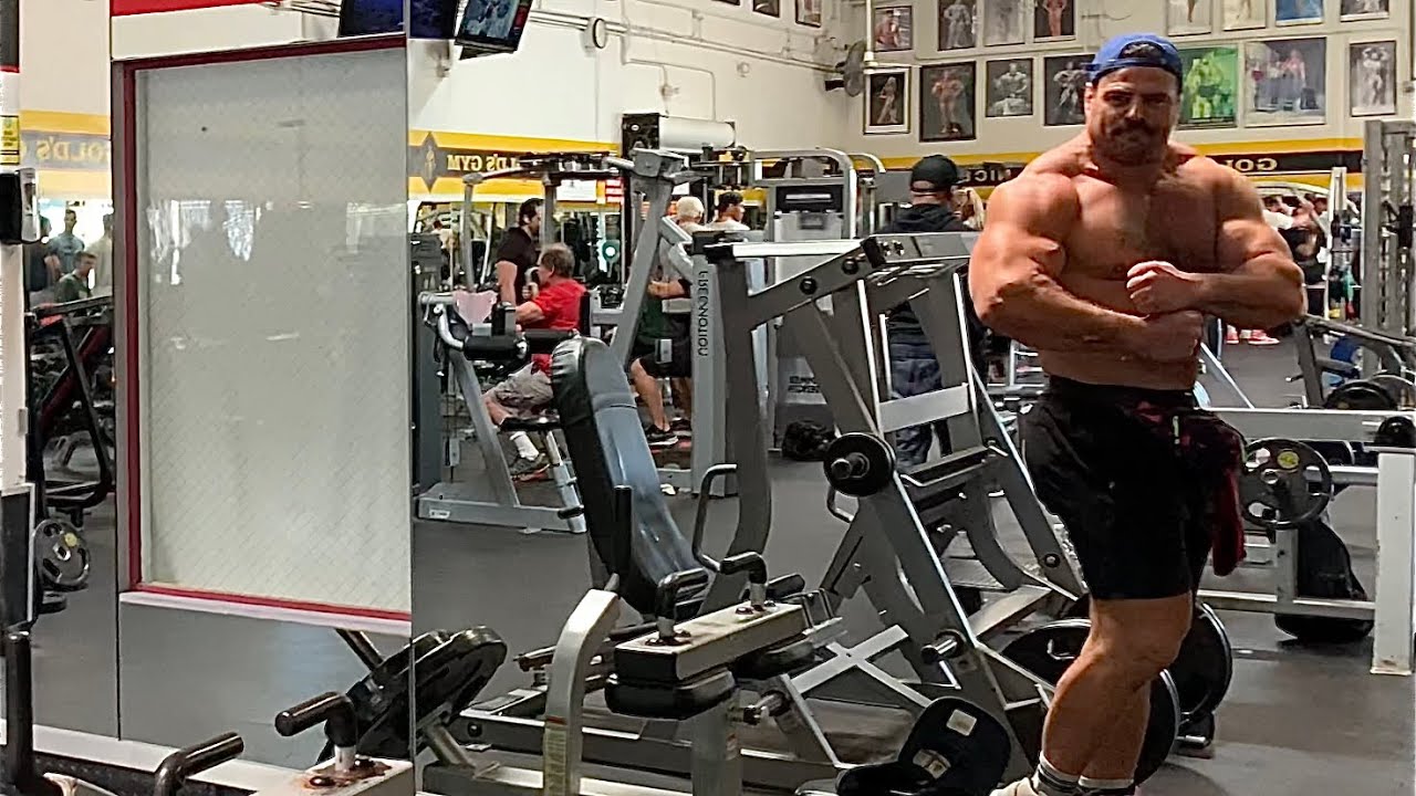Two Idiot Meatheads DOMINATE underachieving Gold’s Gym Venice members ...