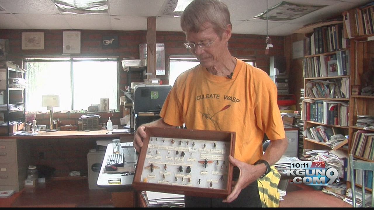 How much does a sting sting? Scientist creates sting pain scale - YouTube