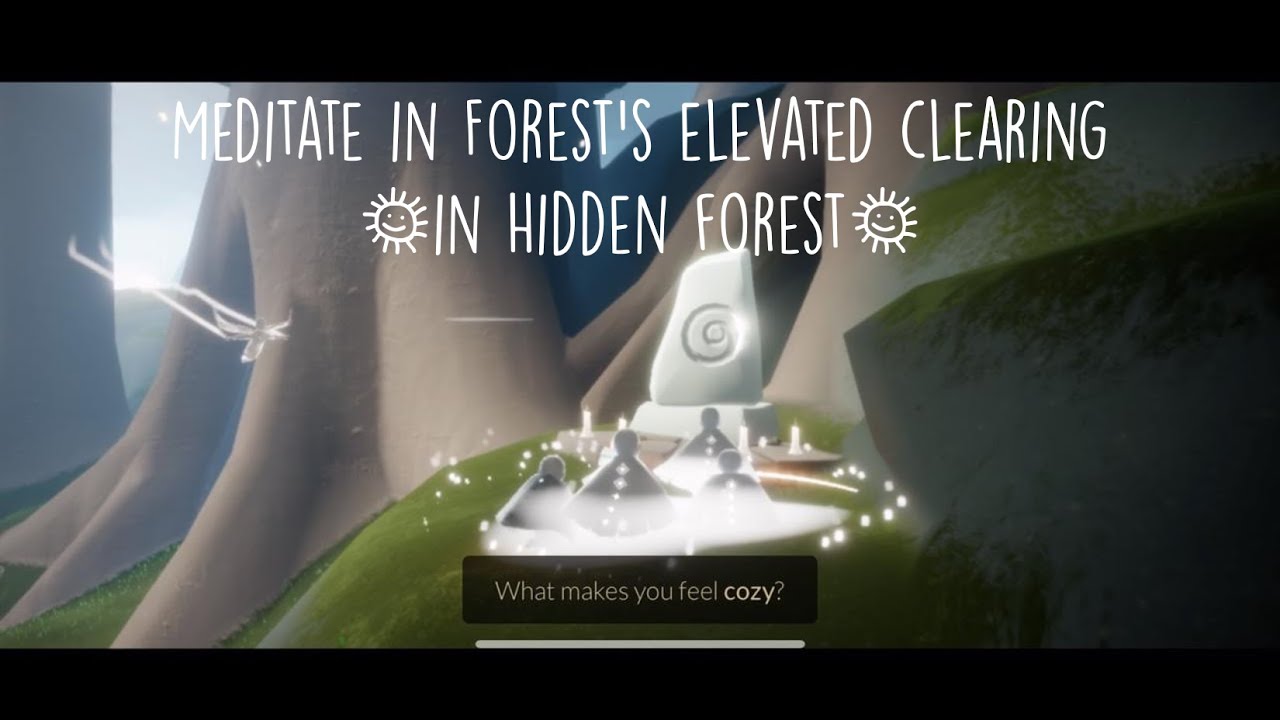 Meditate in Forest’s elevated clearing in Hidden Forest (Sky: Children ...